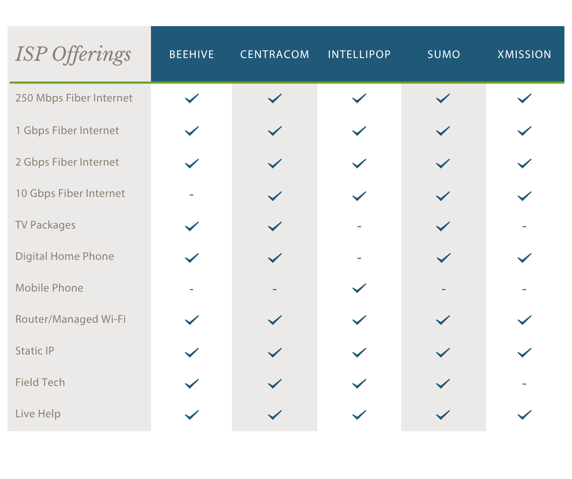 Lehi Fiber - Lehi City